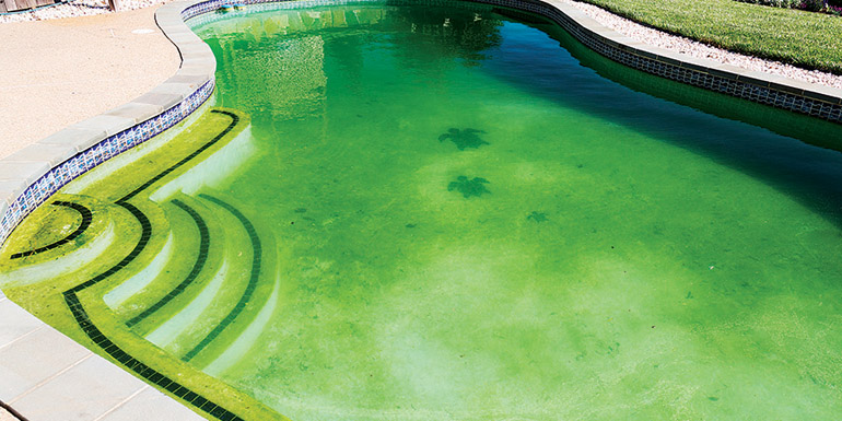 Stains and water discolouration - Pool & Spa Marketing