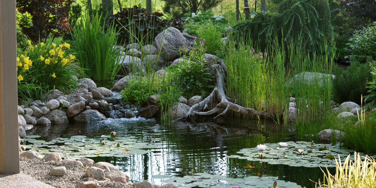 Water features inspired by natural environments - Pool & Spa Marketing