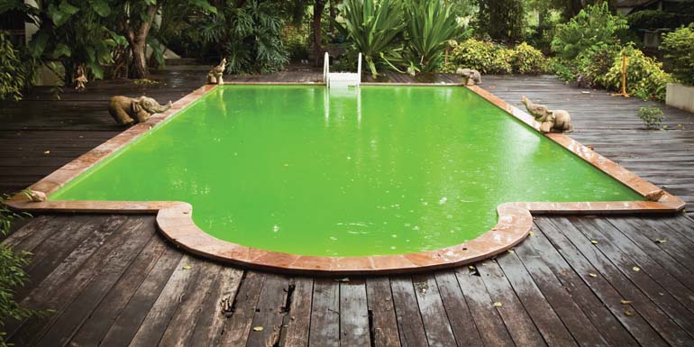 Battling Biofilm - Pool & Spa Marketing